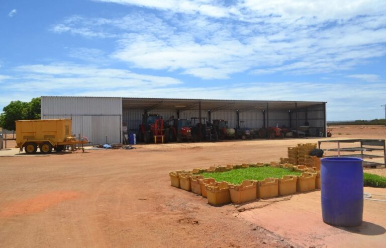 Open Front Farm Sheds Australia | Custom Steel Rural Sheds